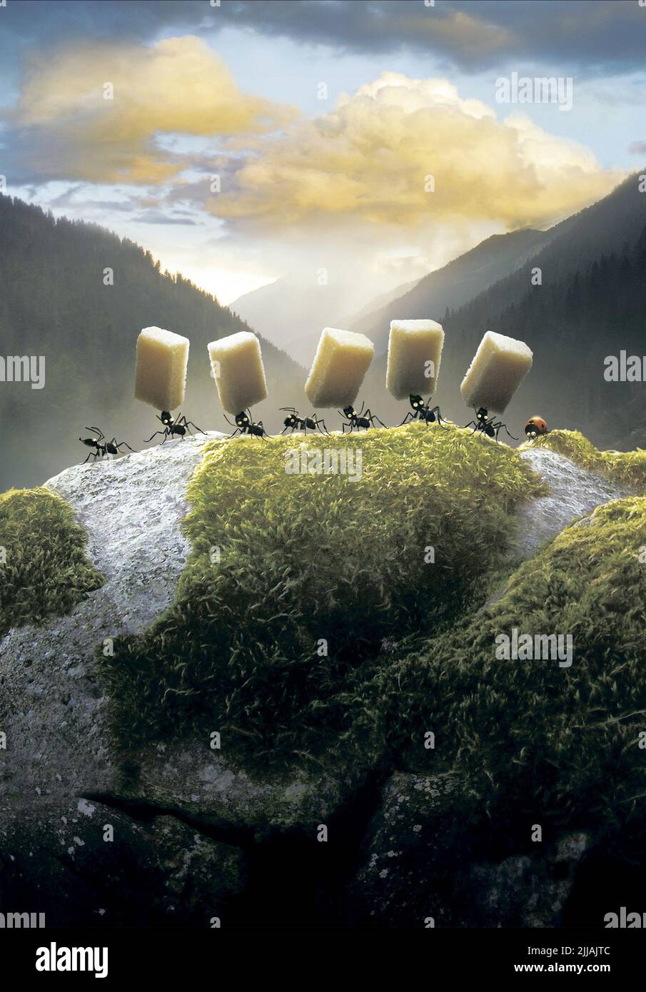 BLACK ANTS, LADYBIRD, MINUSCULE: VALLEY OF THE LOST ANTS, 2013 Stock ...