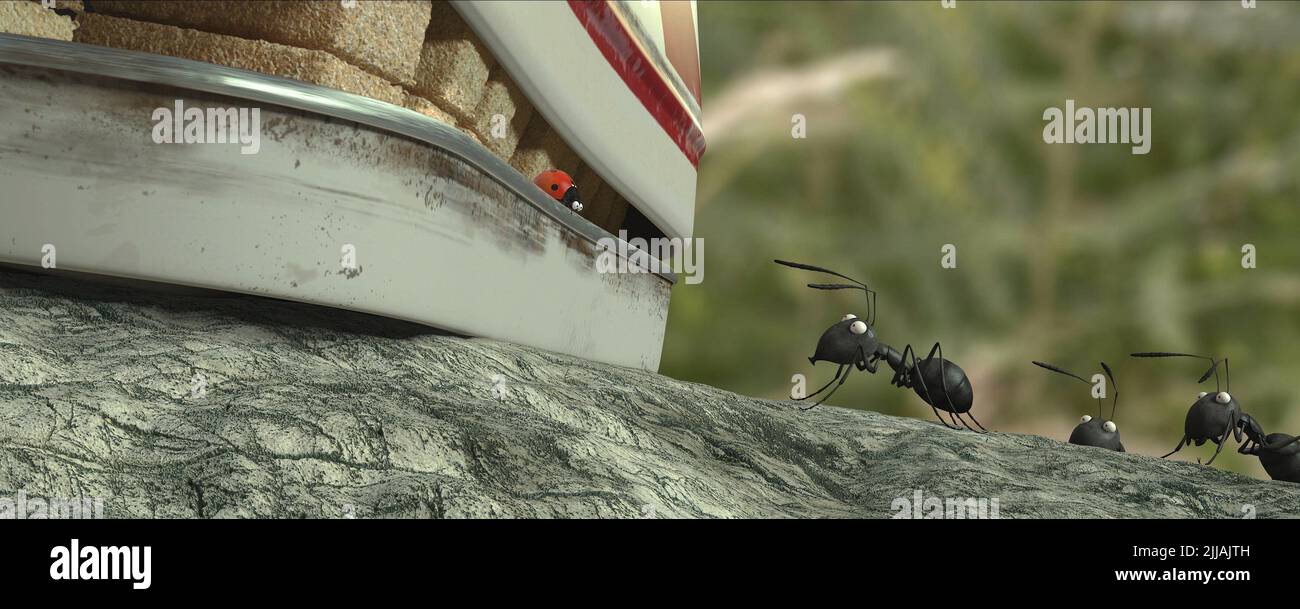 LADYBIRD, BLACK ANTS, MINUSCULE: VALLEY OF THE LOST ANTS, 2013 Stock ...