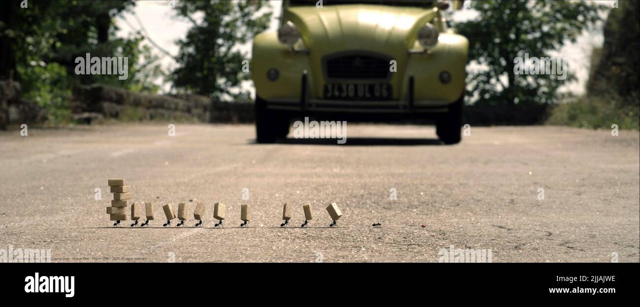 BLACK ANTS, LADYBIRD, MINUSCULE: VALLEY OF THE LOST ANTS, 2013 Stock ...