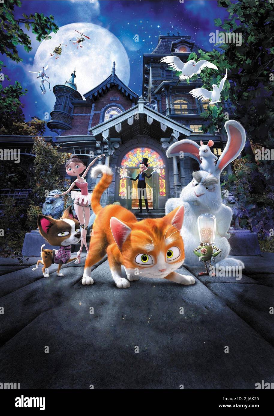 Jack rabbit hi-res stock photography and images - Alamy