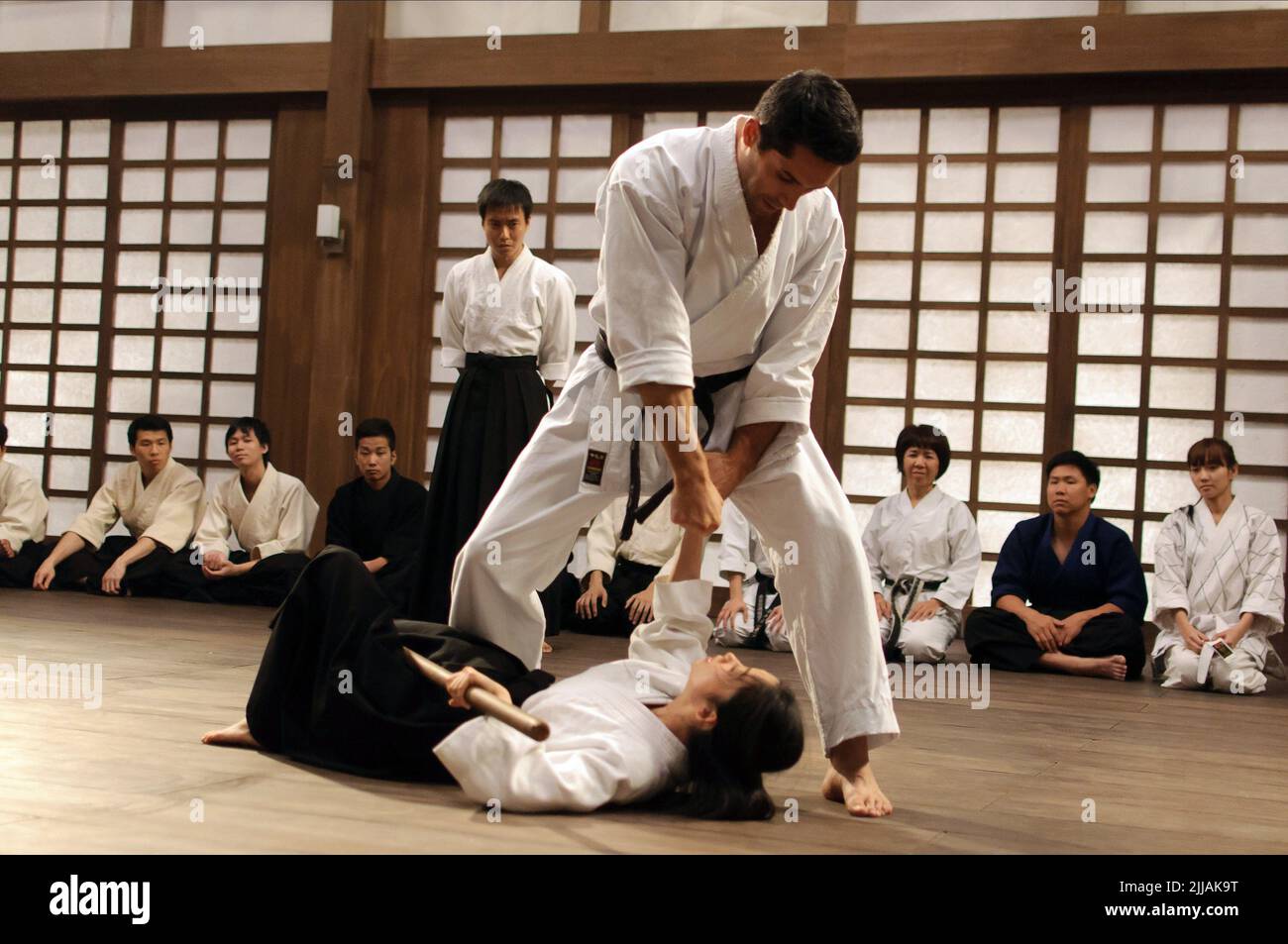 SCOTT ADKINS, MIKA HIJII, NINJA: SHADOW OF A TEAR, 2013 Stock Photo - Alamy