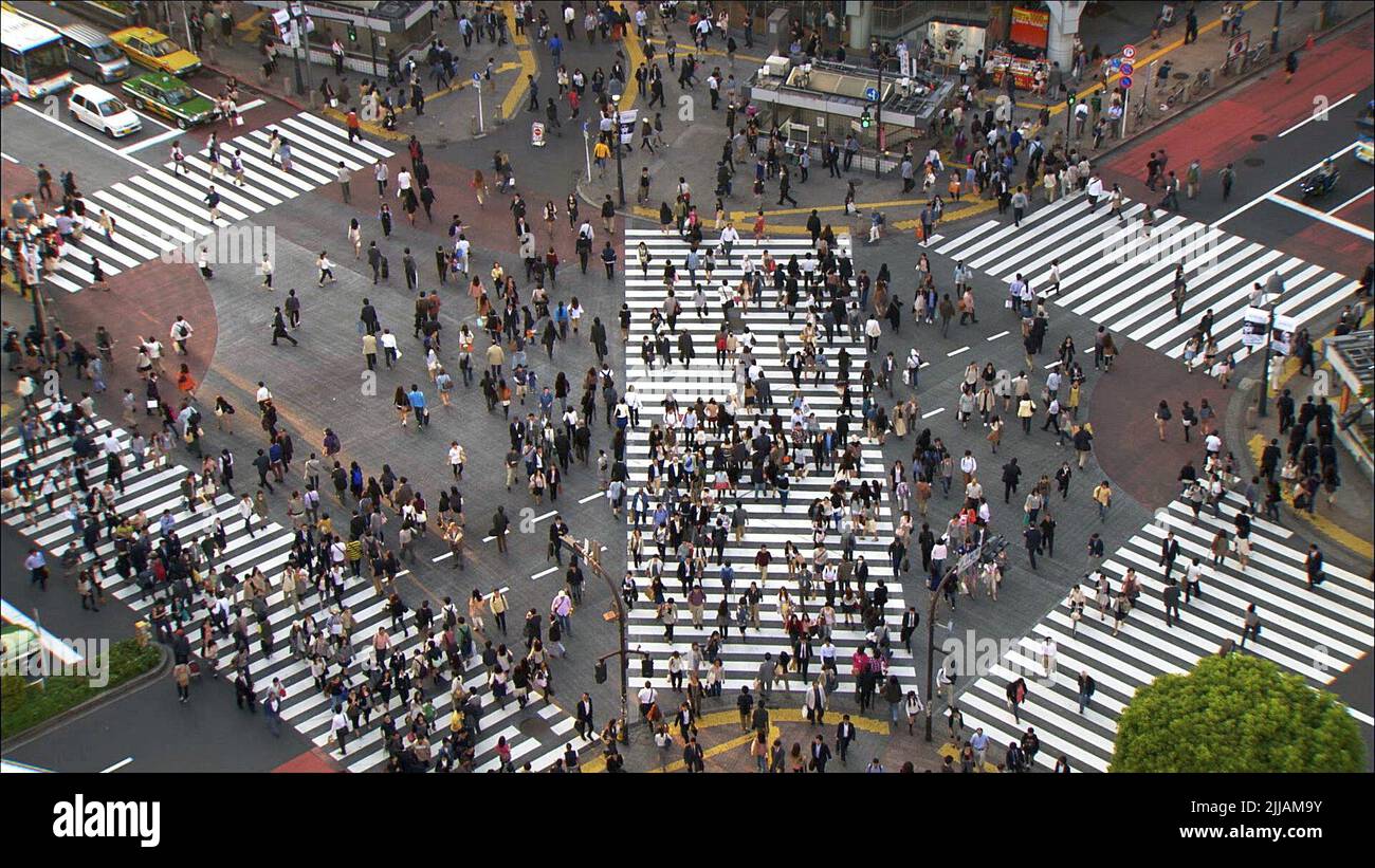 CROSSING,SHIBUYA,TOKYO,JAPAN, POPULATION BOOM, 2013 Stock Photo - Alamy