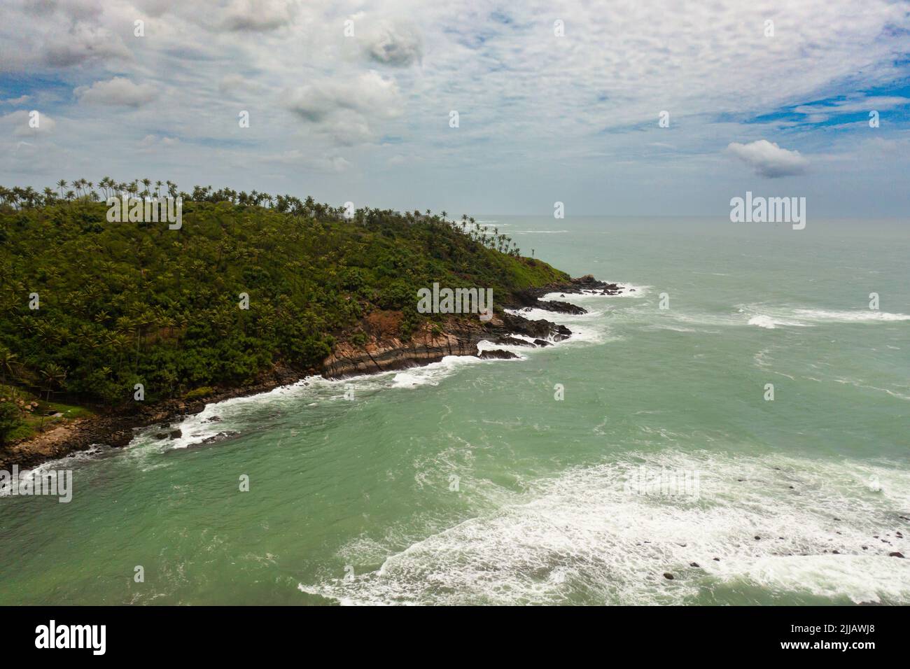 Palm trees on the rocky shore and the ocean with big waves. Secret ...