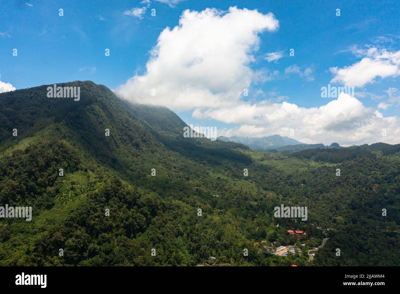 Aerial view of Fresh green foliage, tropical plants and trees covers ...