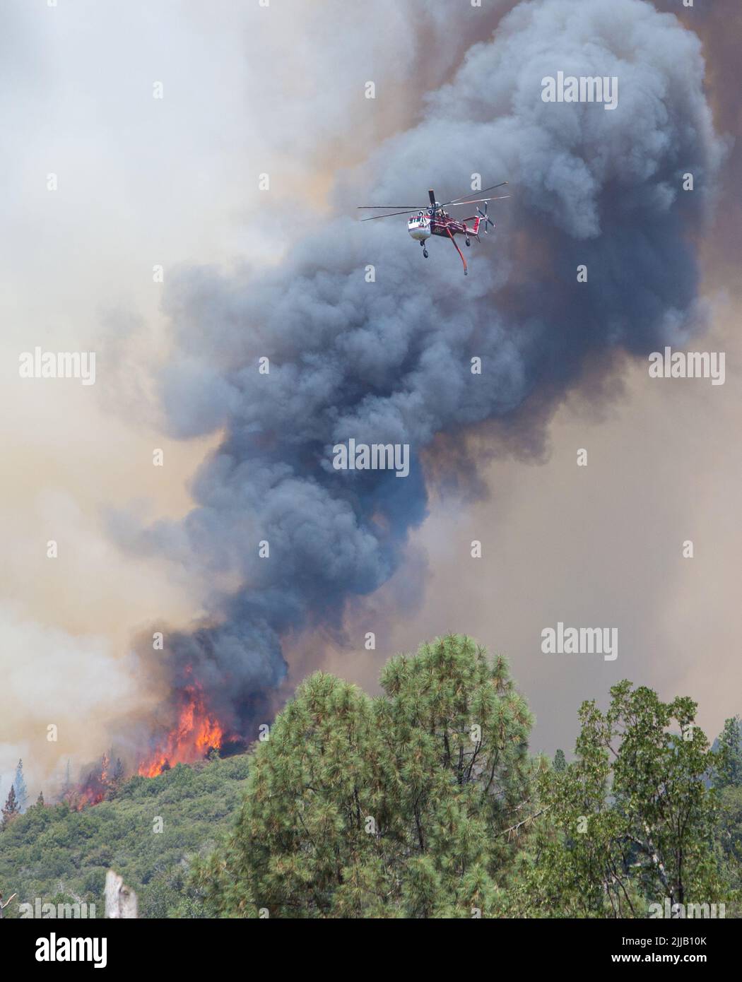 Mariposa County, California, July 24, 2022. A firefighting helicopter ...