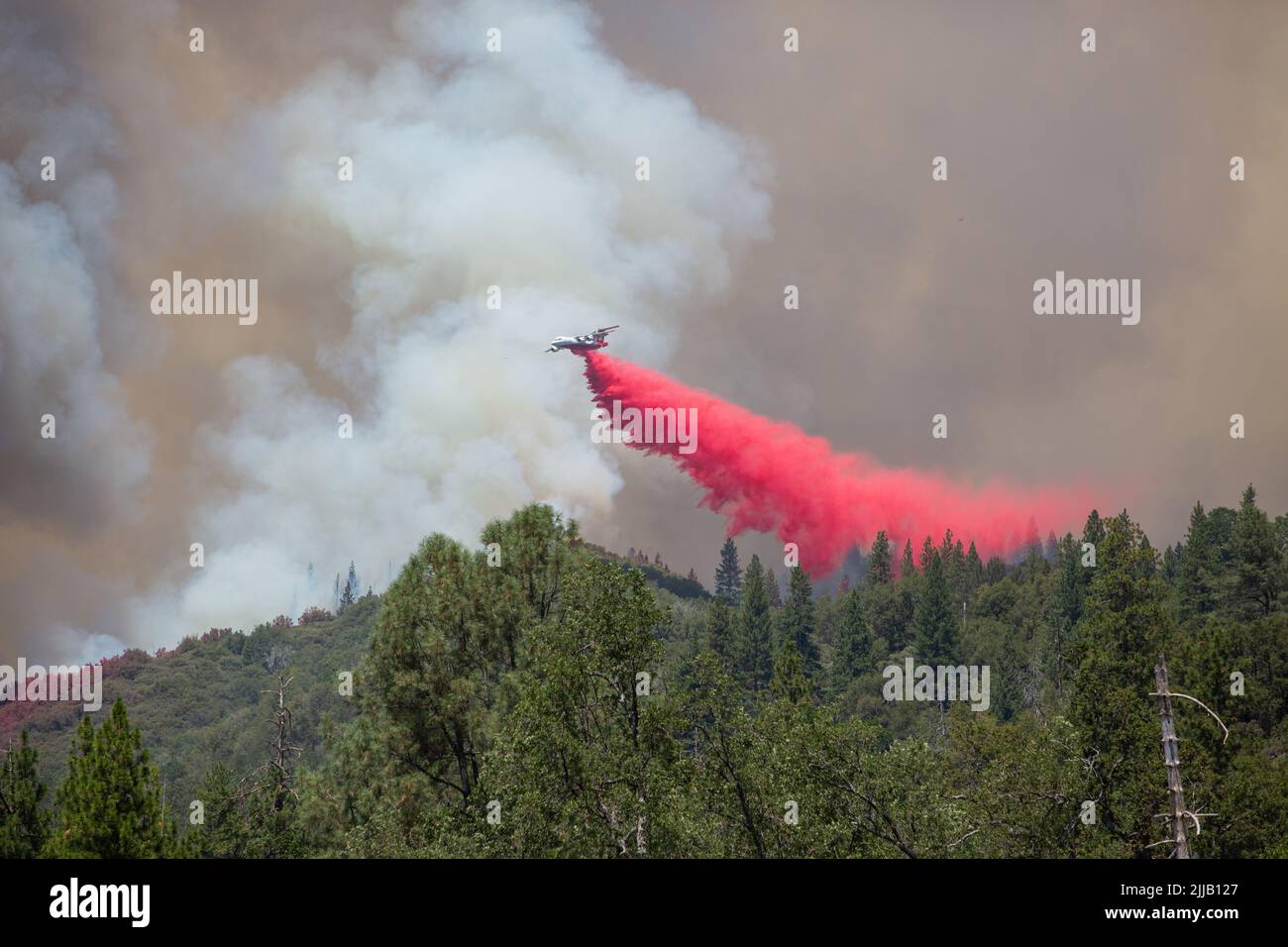 Mariposa County, California, July 24, 2022. A firefighting air tanker ...
