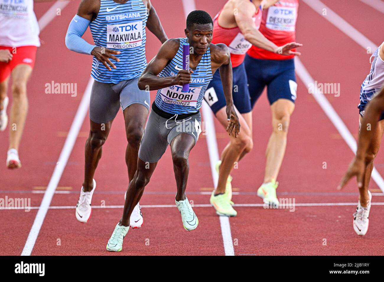 Bayapo ndori hi-res stock photography and images - Alamy