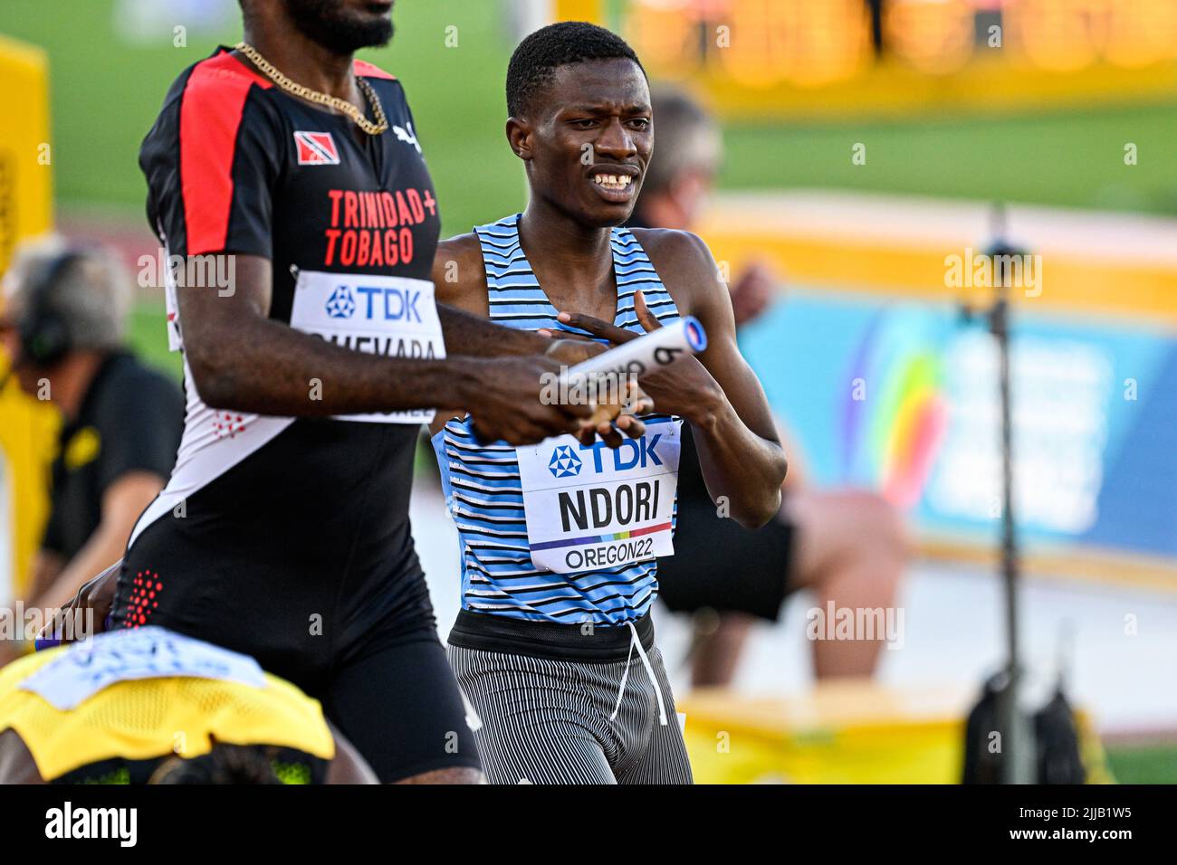 Bayapo ndori hi-res stock photography and images - Alamy