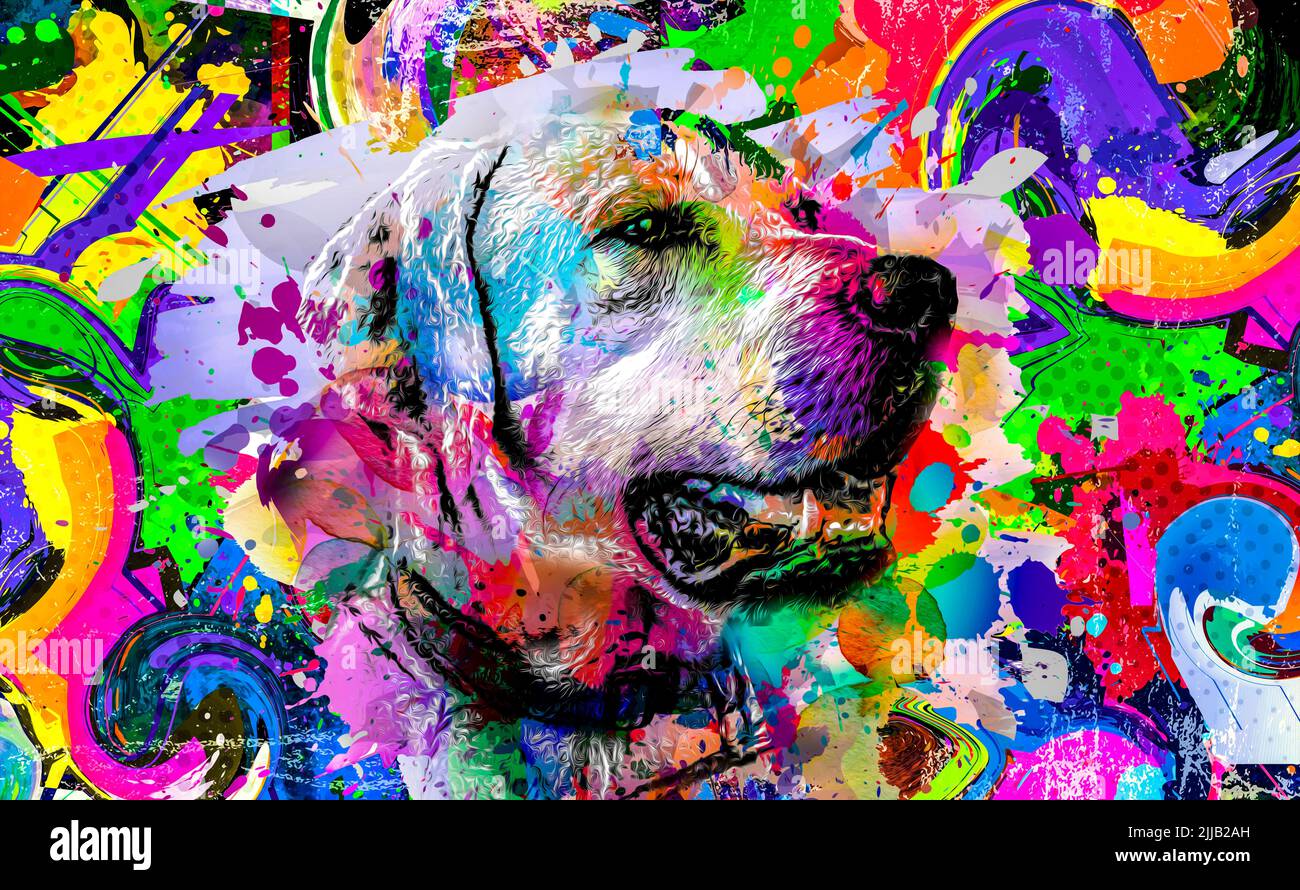 dog head with creative colorful abstract elements on white background ...