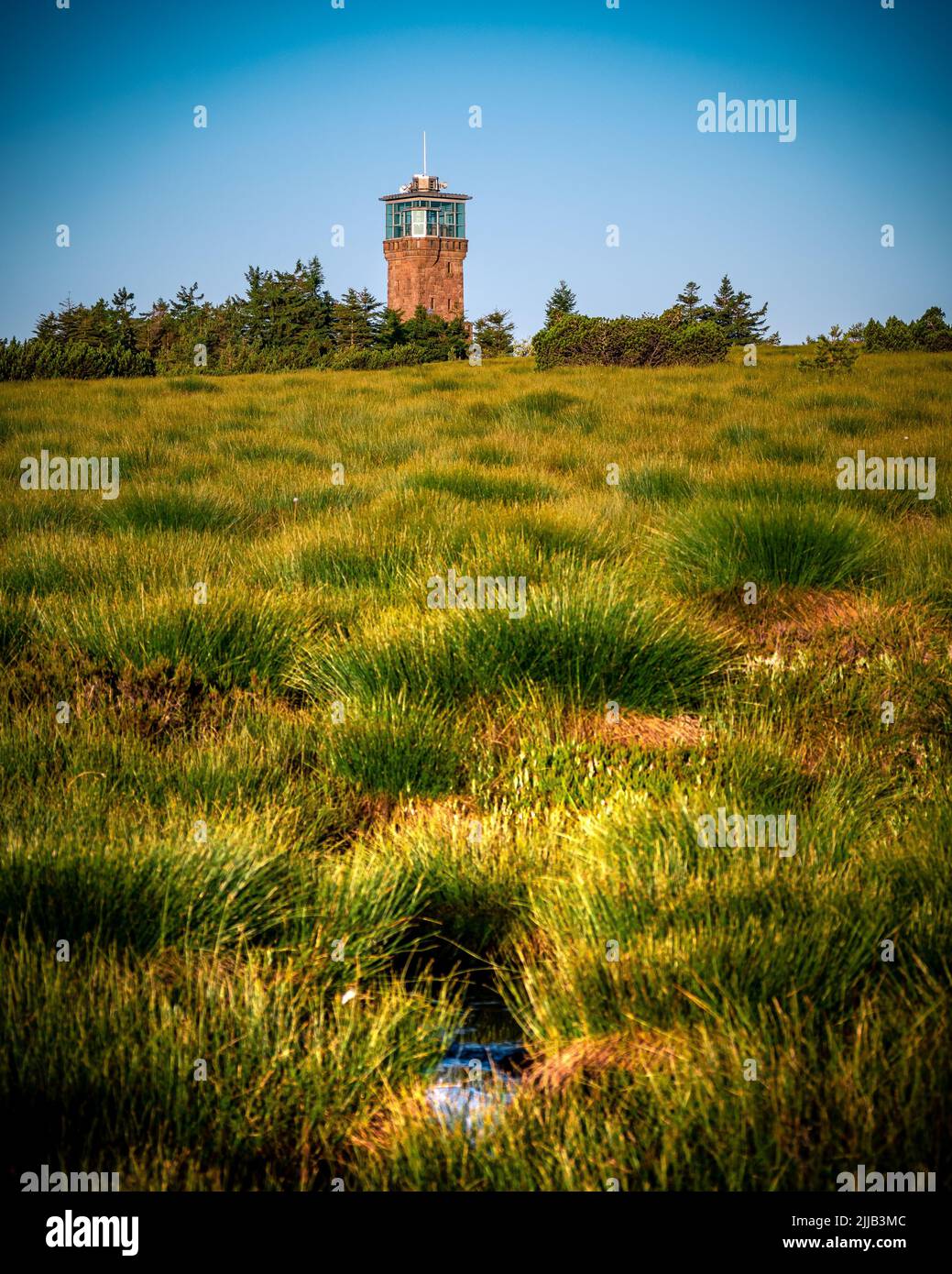 A natural view of grassland and the Hornisgrinde tower in Germany Stock ...