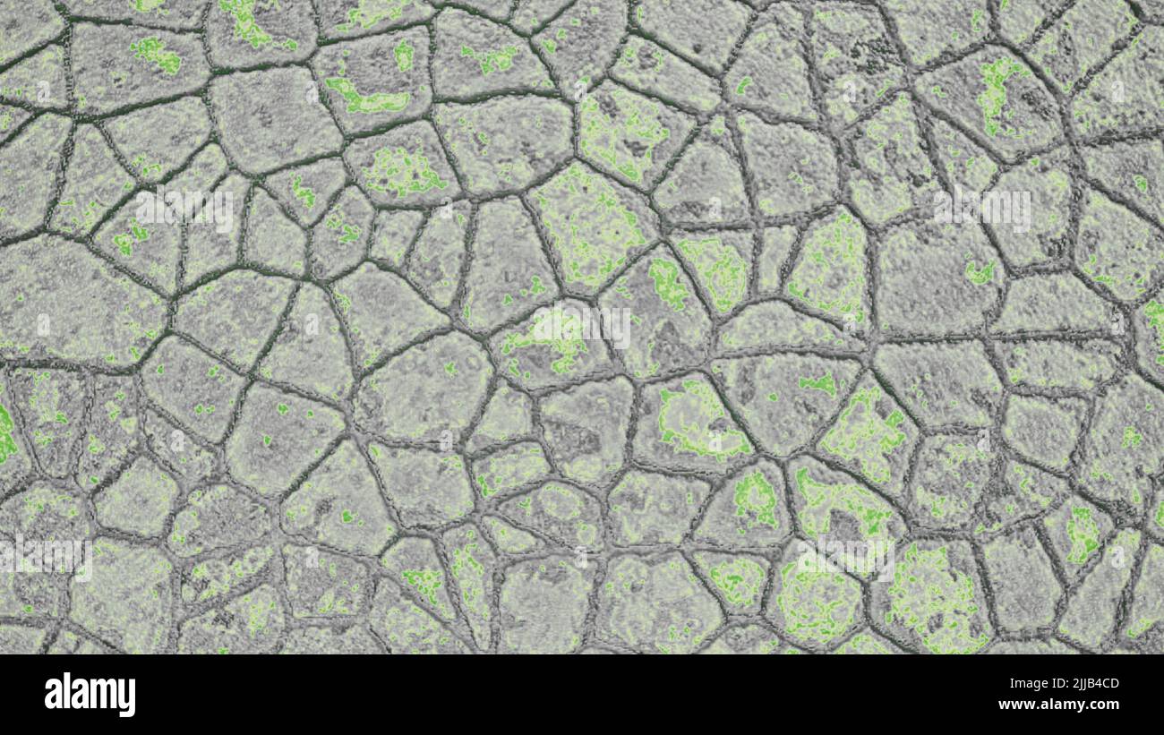 Seamless Cracked Stone Texture