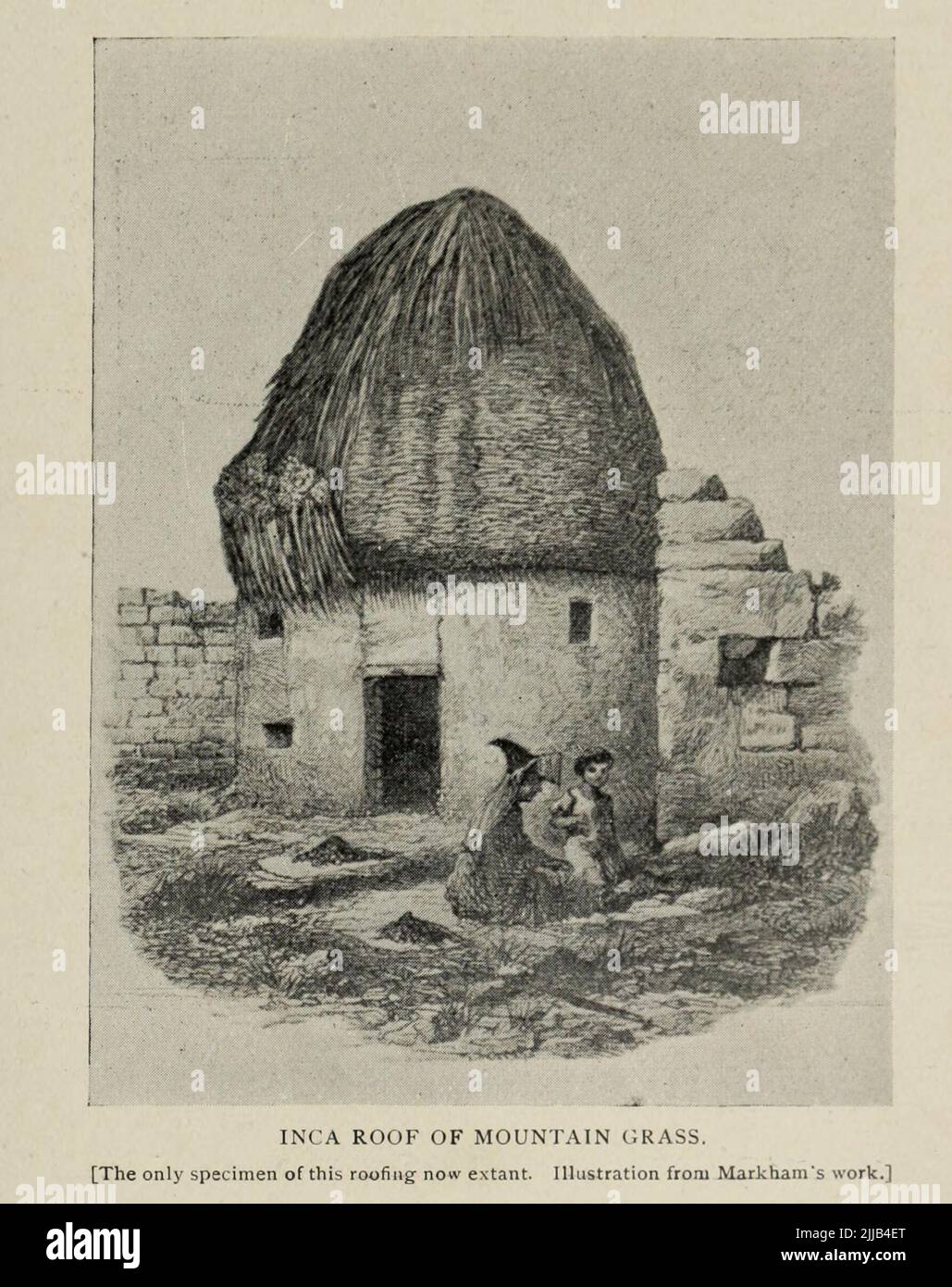 INCA ROOF OF MOUNTAIN GRASS. [The only specimen of this roofing now ...