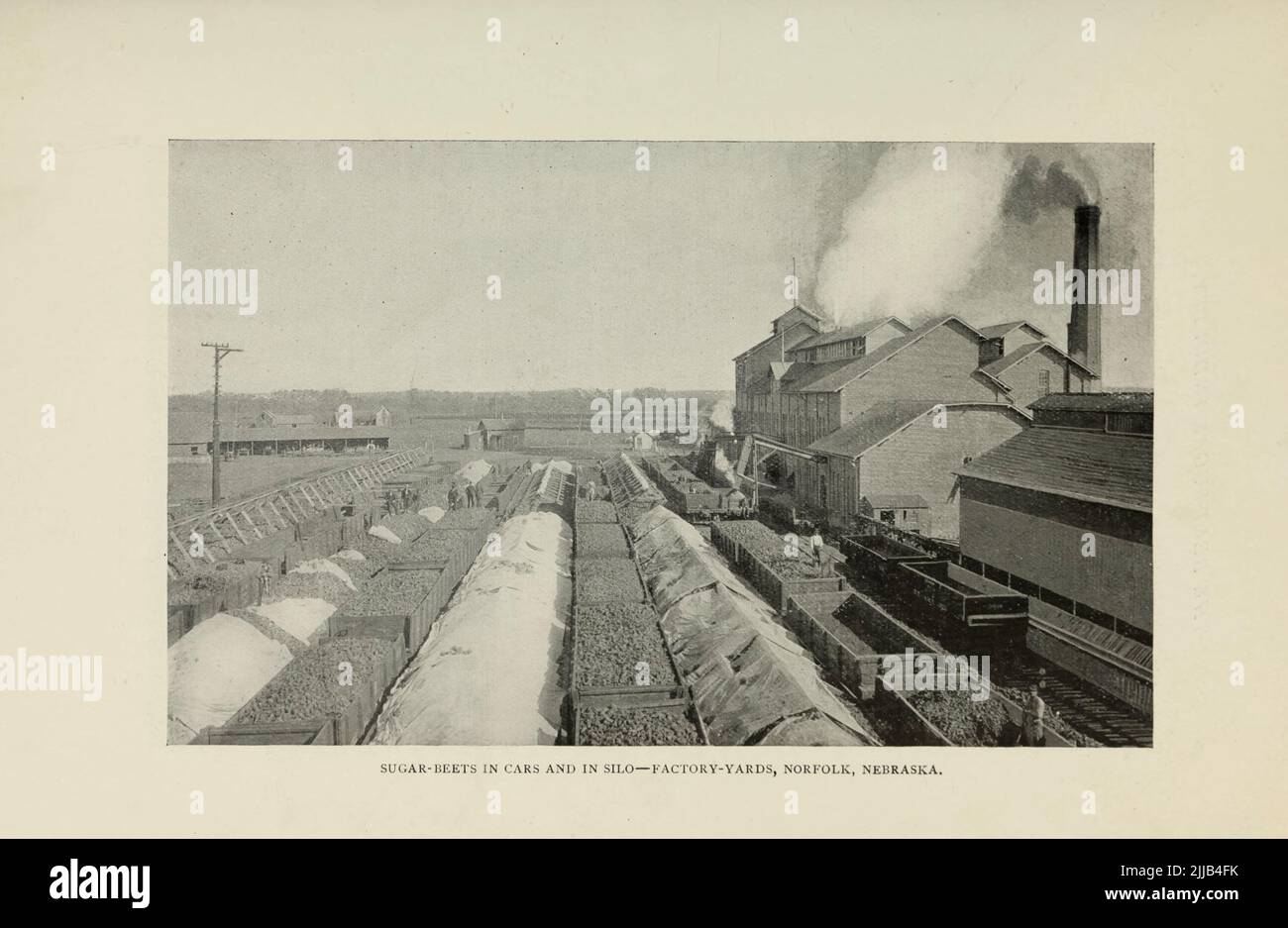 Sugar beets nebraska hi-res stock photography and images - Alamy