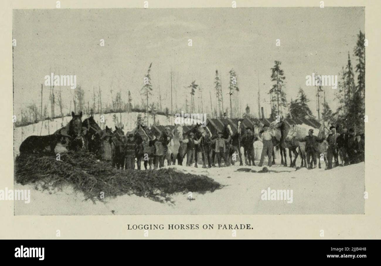 19th century logging hi-res stock photography and images - Alamy