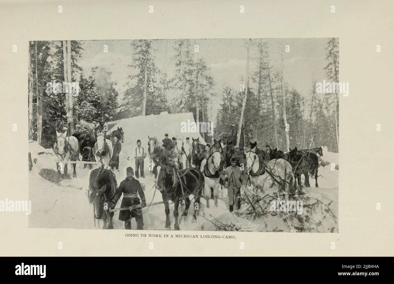 Lumber industry 19th century hi-res stock photography and images - Alamy