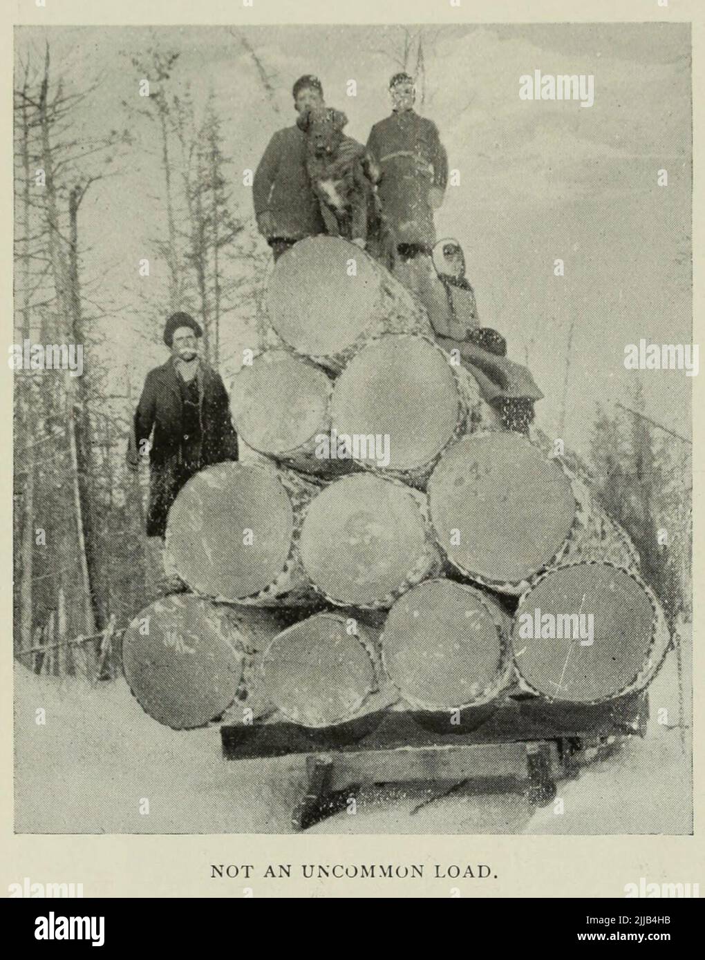 Lumber industry 19th century hi-res stock photography and images - Alamy