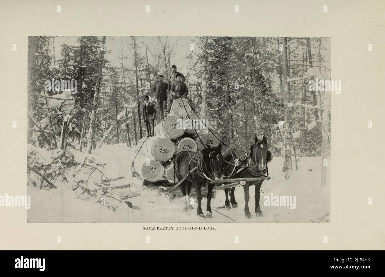 19th century tree felling hi-res stock photography and images - Alamy