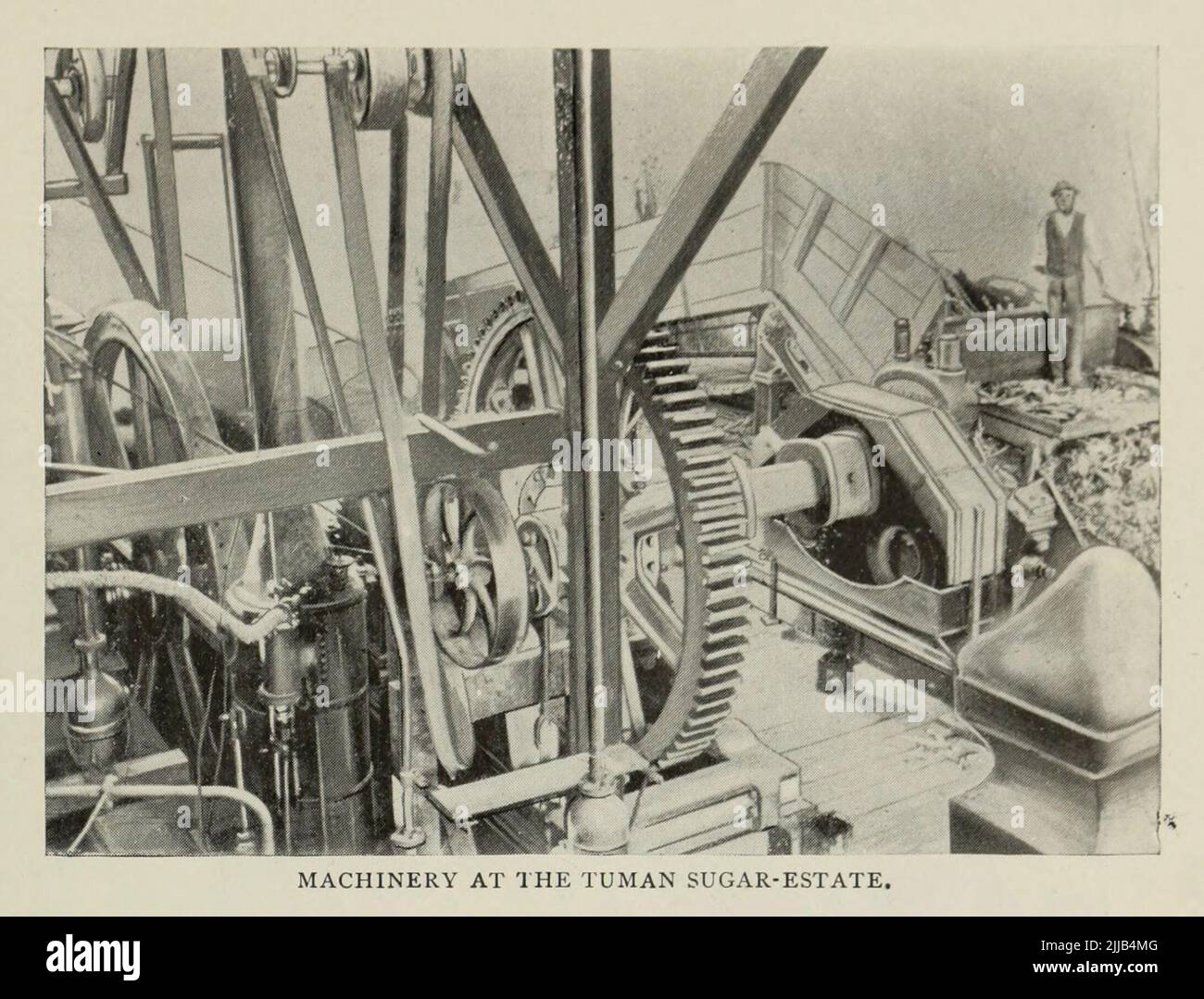 19th century sugar cane plantation hi-res stock photography and images ...