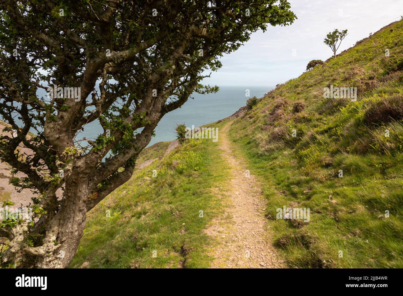 Coast road lynton lynmouth hi-res stock photography and images - Alamy