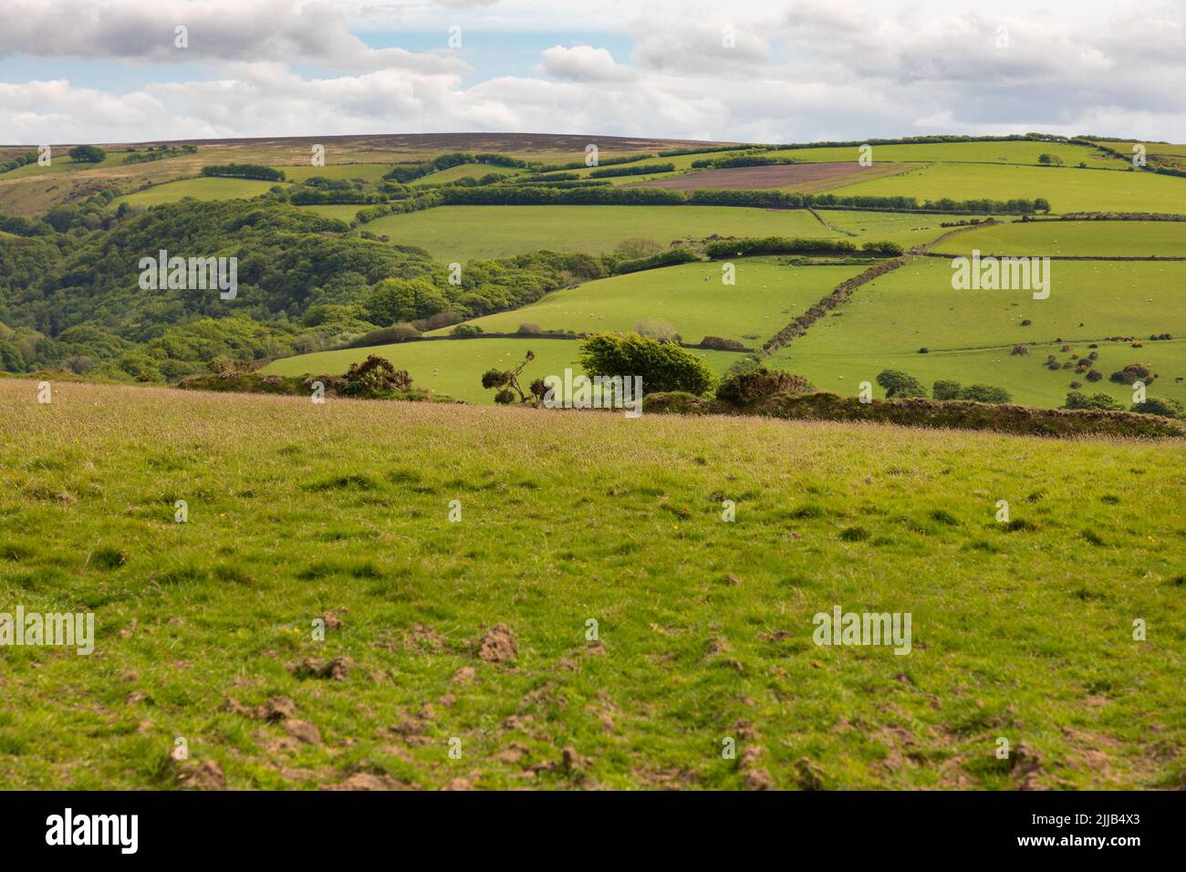 Scenic countryside, Exmoor, Devon Stock Photo - Alamy