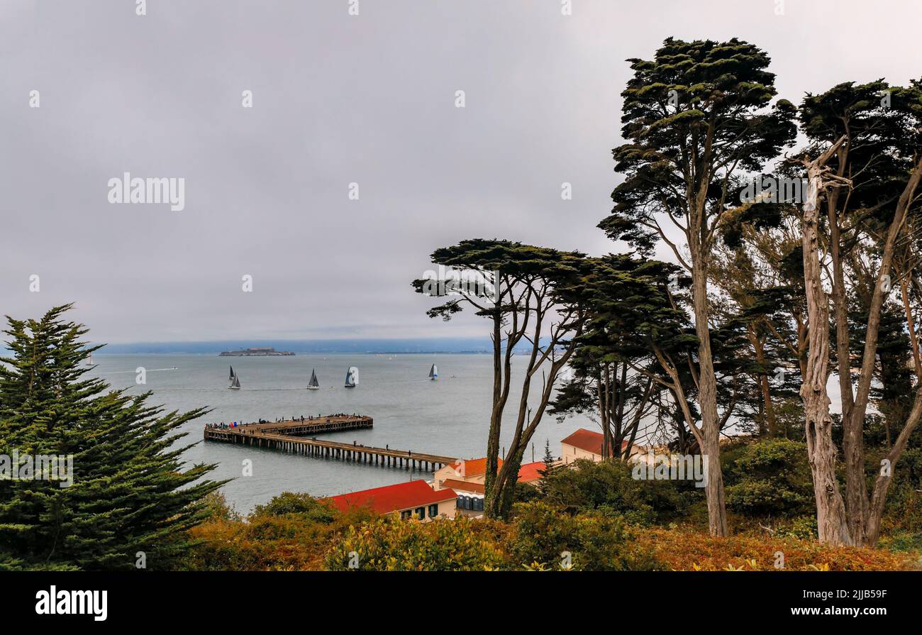 View of San Francisco Bay and Alcatraz with low hanging fog and ...