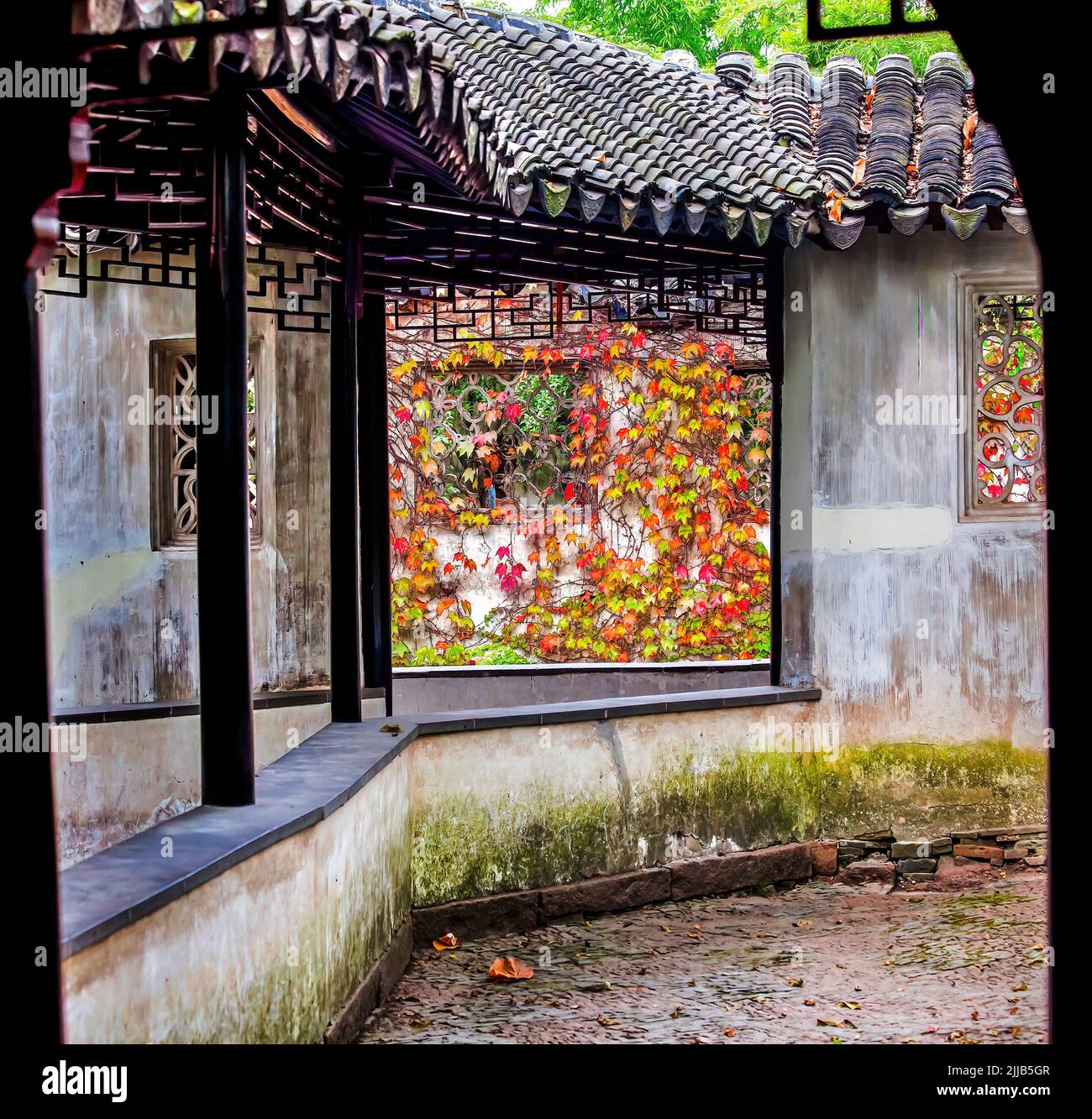 Corredor Window Fall Leaves Ancient Chinese House Garden of Humble ...