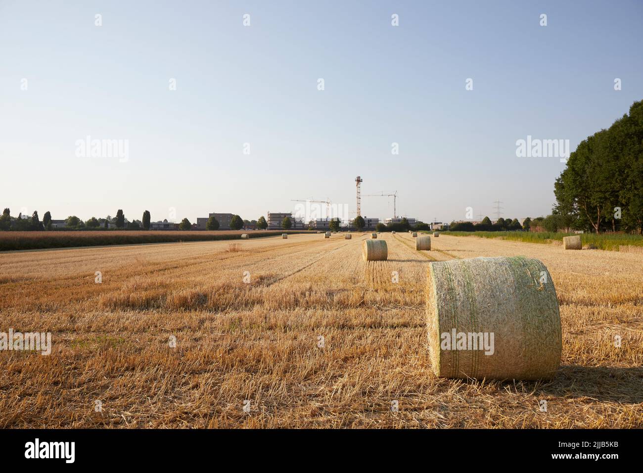 Hay construction hi-res stock photography and images - Alamy