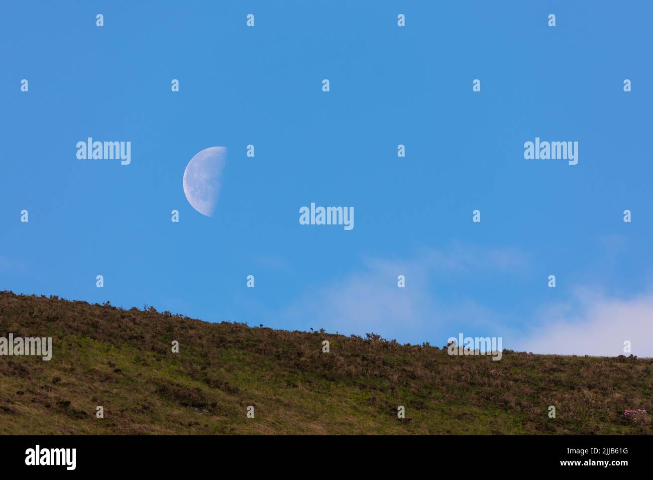 Half moon rising above a hill in Devon, England Stock Photo - Alamy