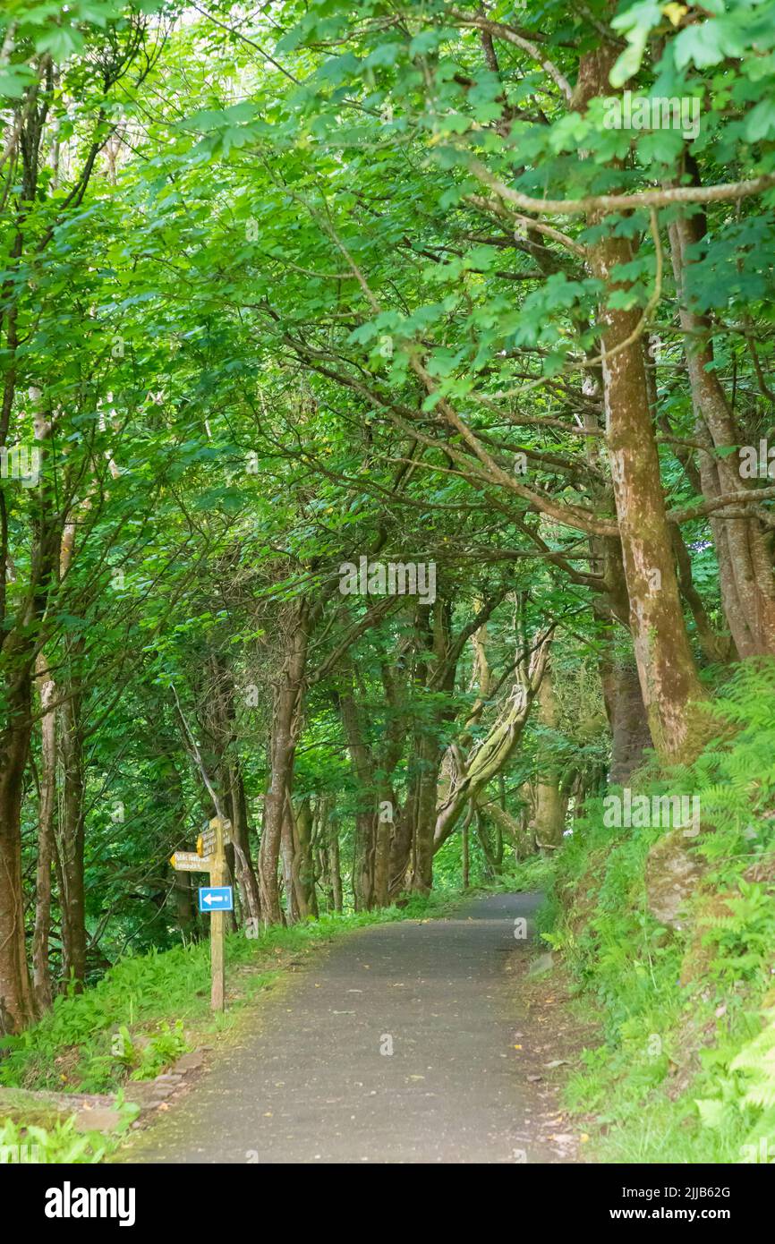 Scenic South-West-Coast-Path between Lynton and Hunters Inn, Devon ...