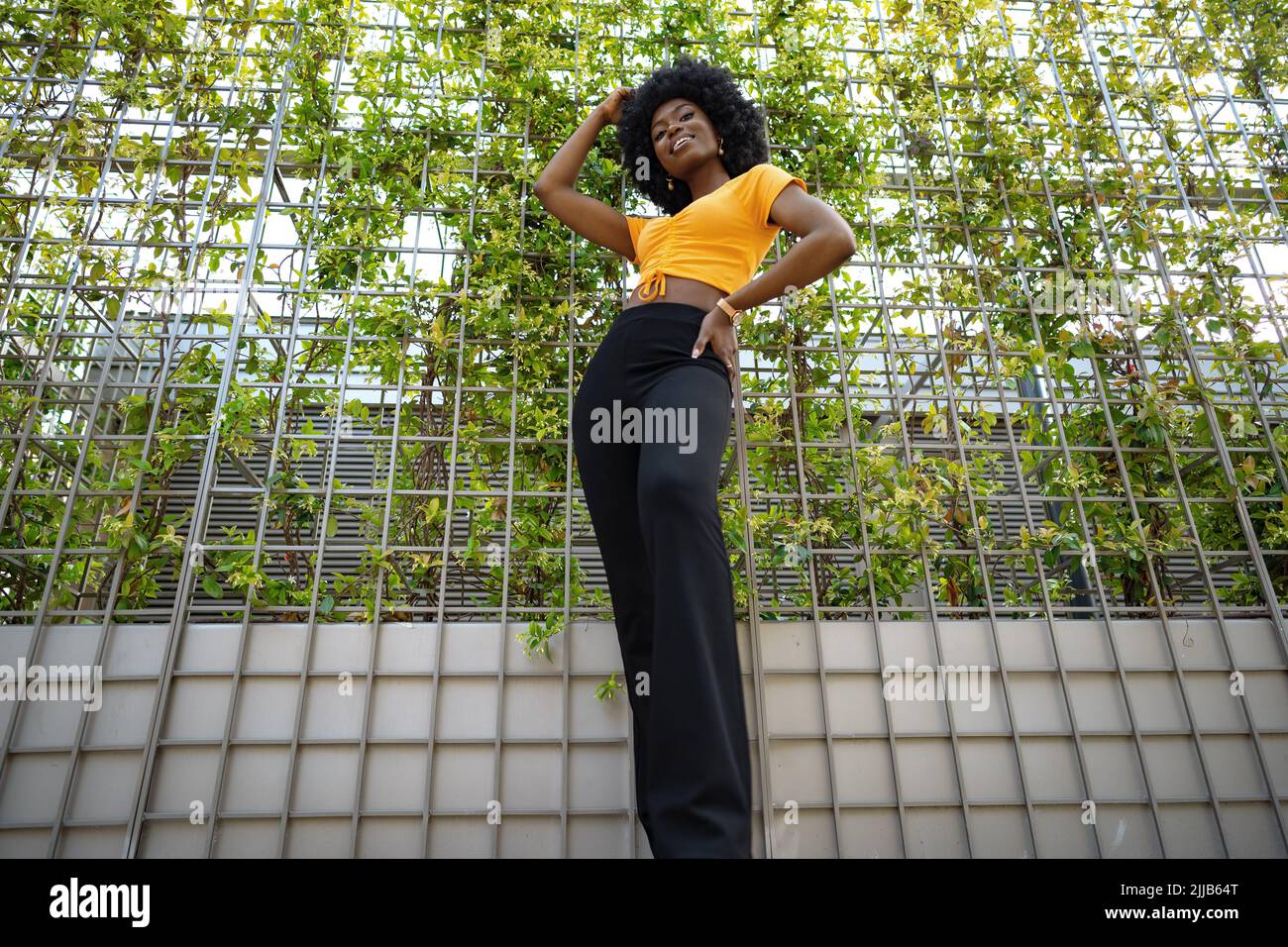 Portrait of a beautiful young african american woman posing against ...