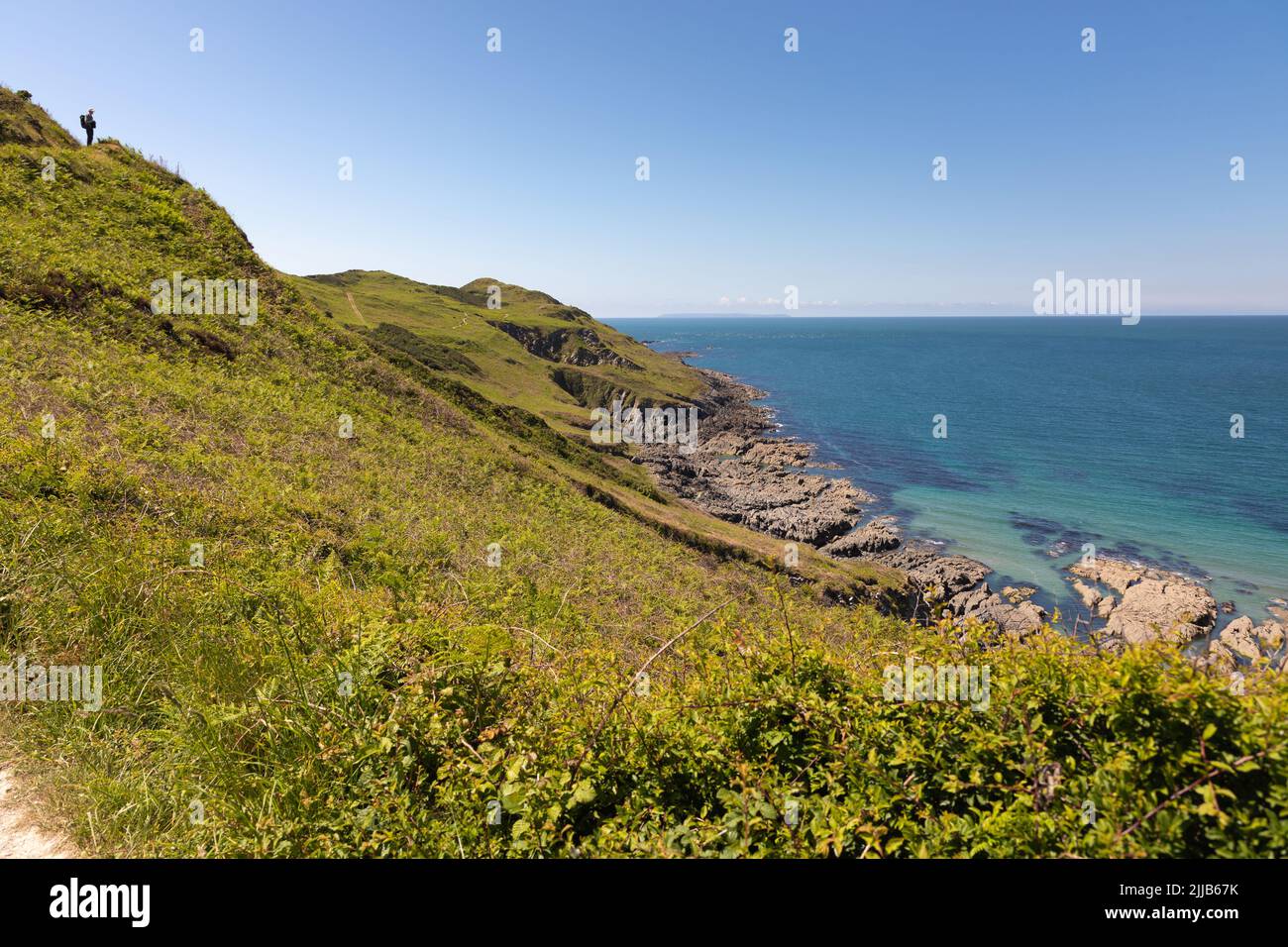 South West coast Path and Tarka Trail between Ilfracombe and Woolacombe ...