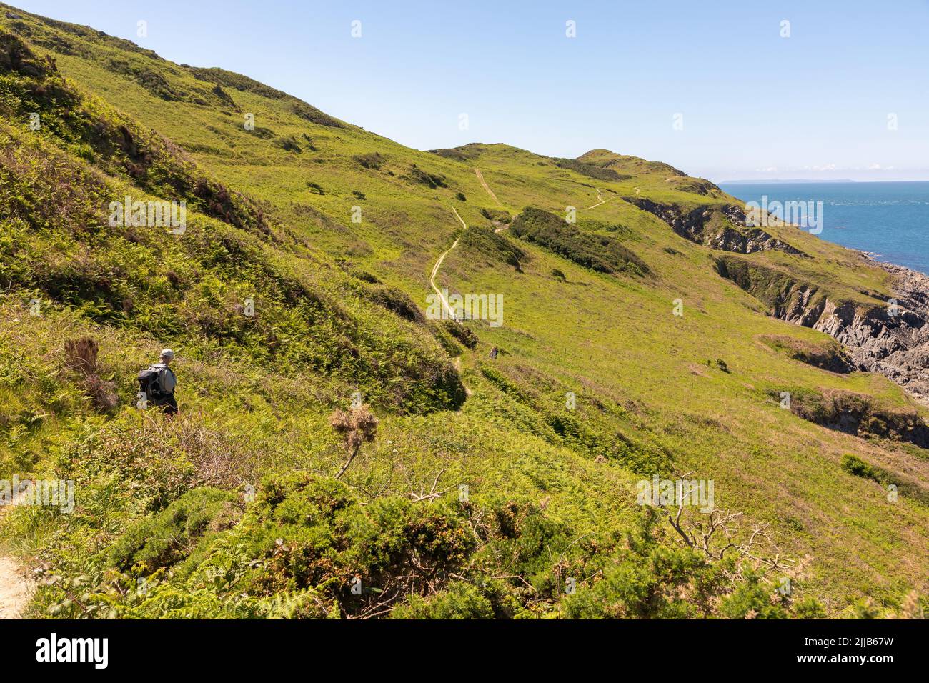 South West coast Path and Tarka Trail between Ilfracombe and Woolacombe ...