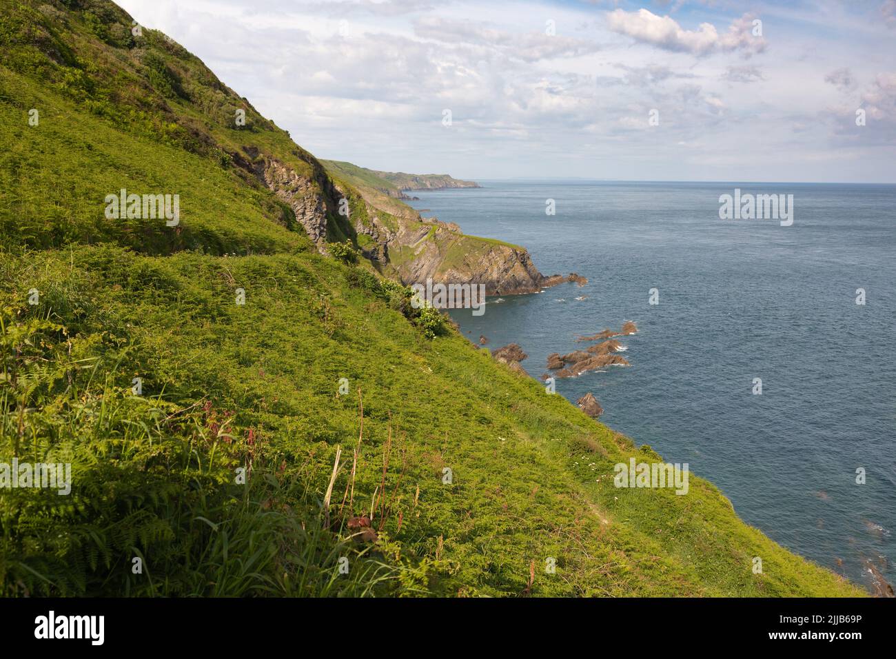 South West coast Path and Tarka Trail between Ilfracombe and Woolacombe ...