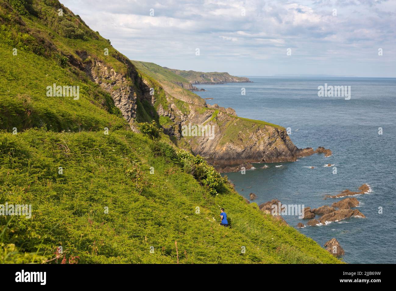 South West coast Path and Tarka Trail between Ilfracombe and Woolacombe ...