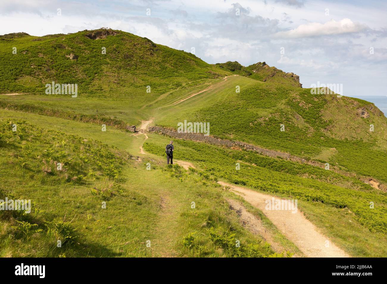 South West coast Path and Tarka Trail between Ilfracombe and Woolacombe ...