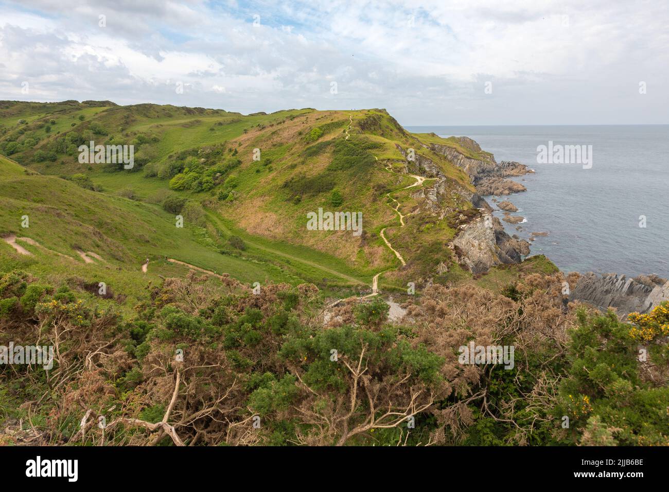 South West coast Path and Tarka Trail between Ilfracombe and Woolacombe ...