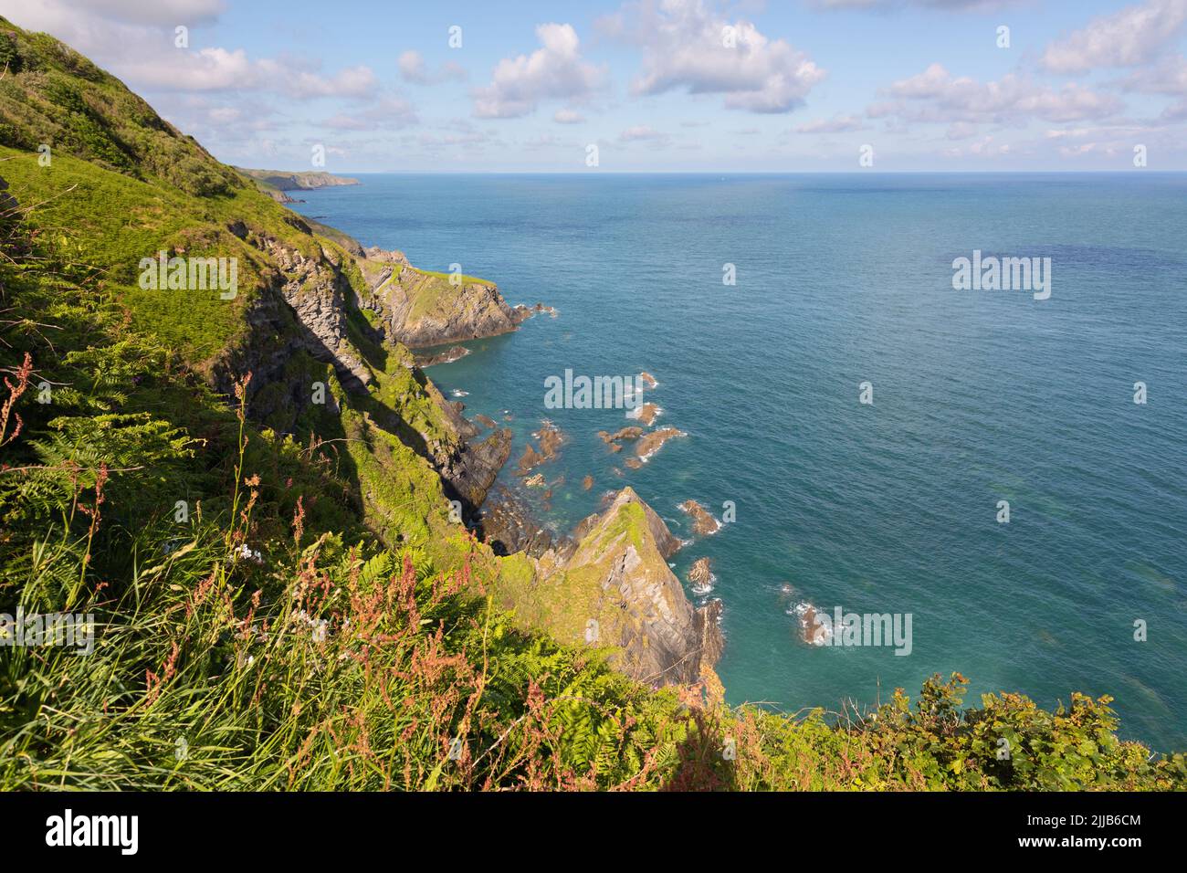 South West coast Path and Tarka Trail between Ilfracombe and Woolacombe ...