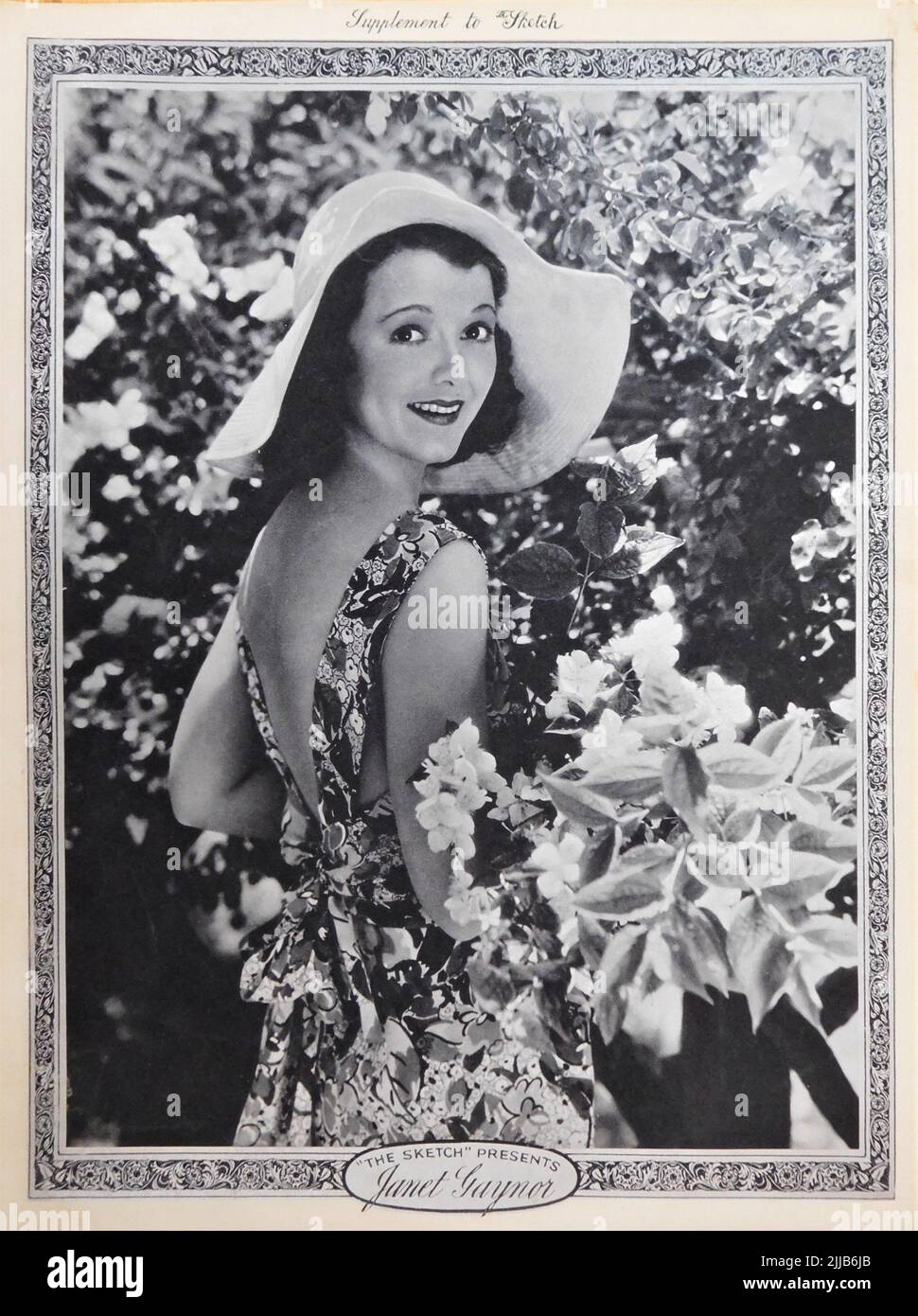 Film Star JANET GAYNOR Silver Finish Printed Portrait presented in the ...