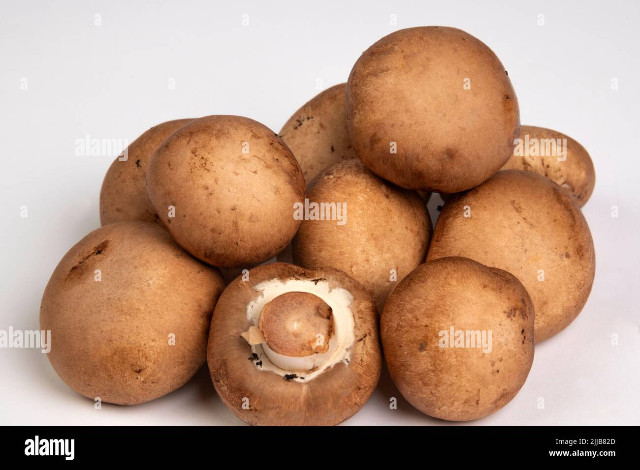Portabella mushrooms on a white background Stock Photo - Alamy