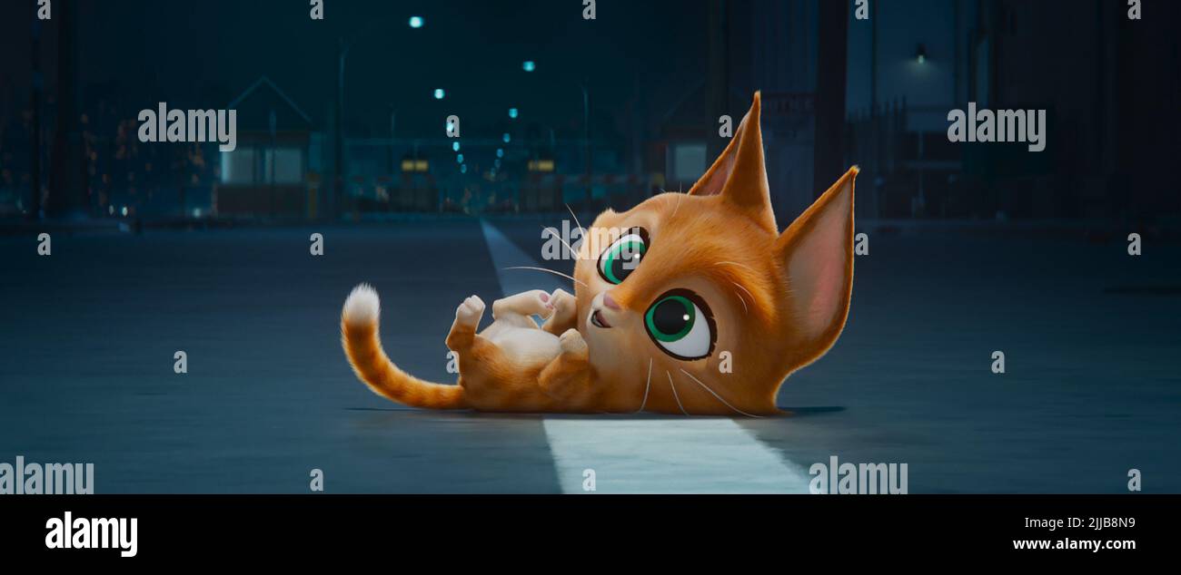 Dc league of super pets hi-res stock photography and images - Alamy