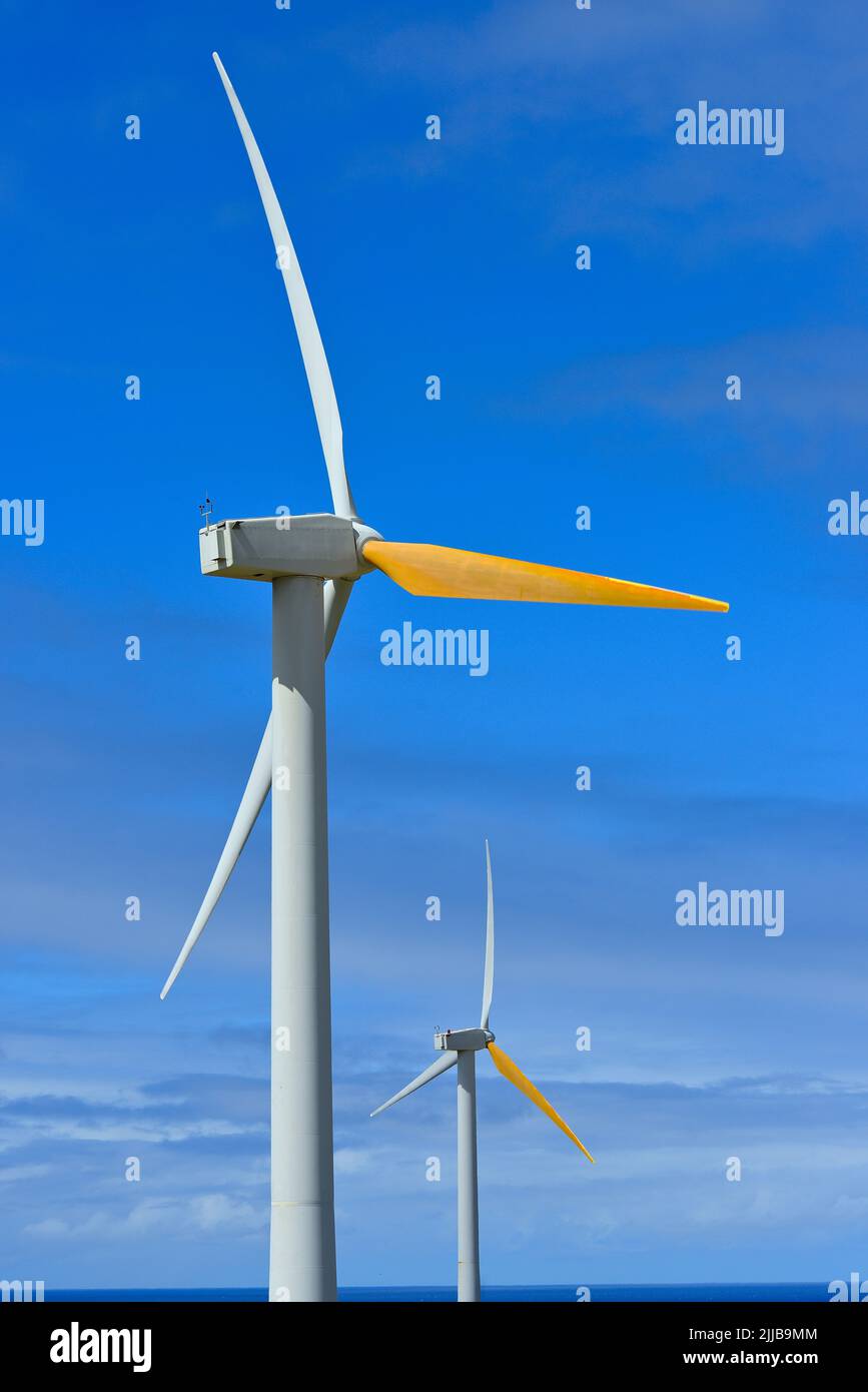 The renewable energy wind farm on the northern tip of Big Island, Hawi ...