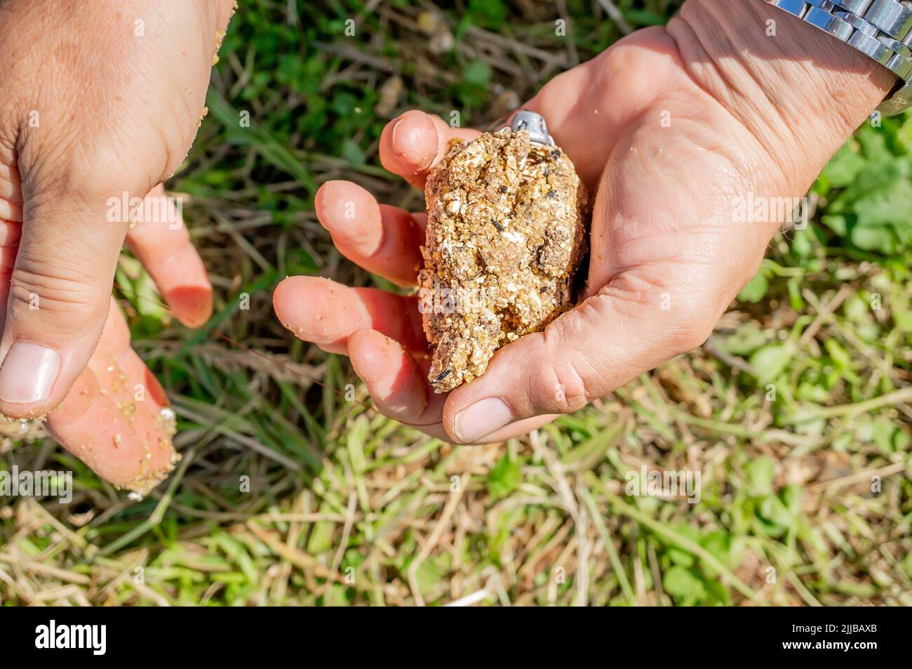 Fill the feeder with your hands for catching carp and other types of ...