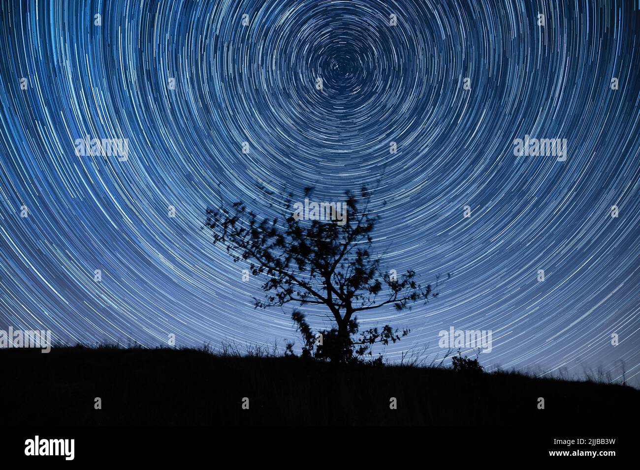 A tree silhouette against magical star trails Stock Photo - Alamy