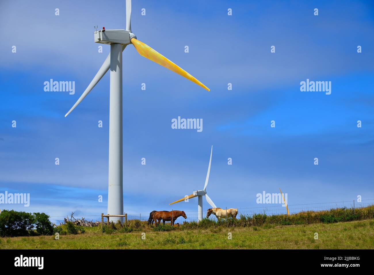The renewable energy wind farm on the northern tip of Big Island, Hawi ...