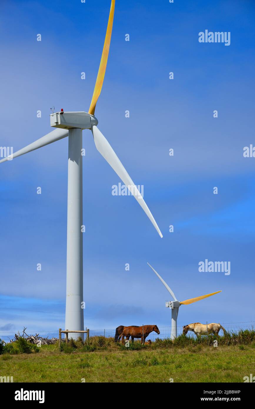 The renewable energy wind farm on the northern tip of Big Island, Hawi ...