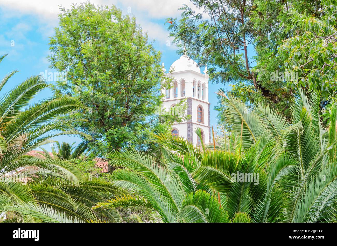 Santa Ana Church Tower in Garachico village with tropical palm leaves ...