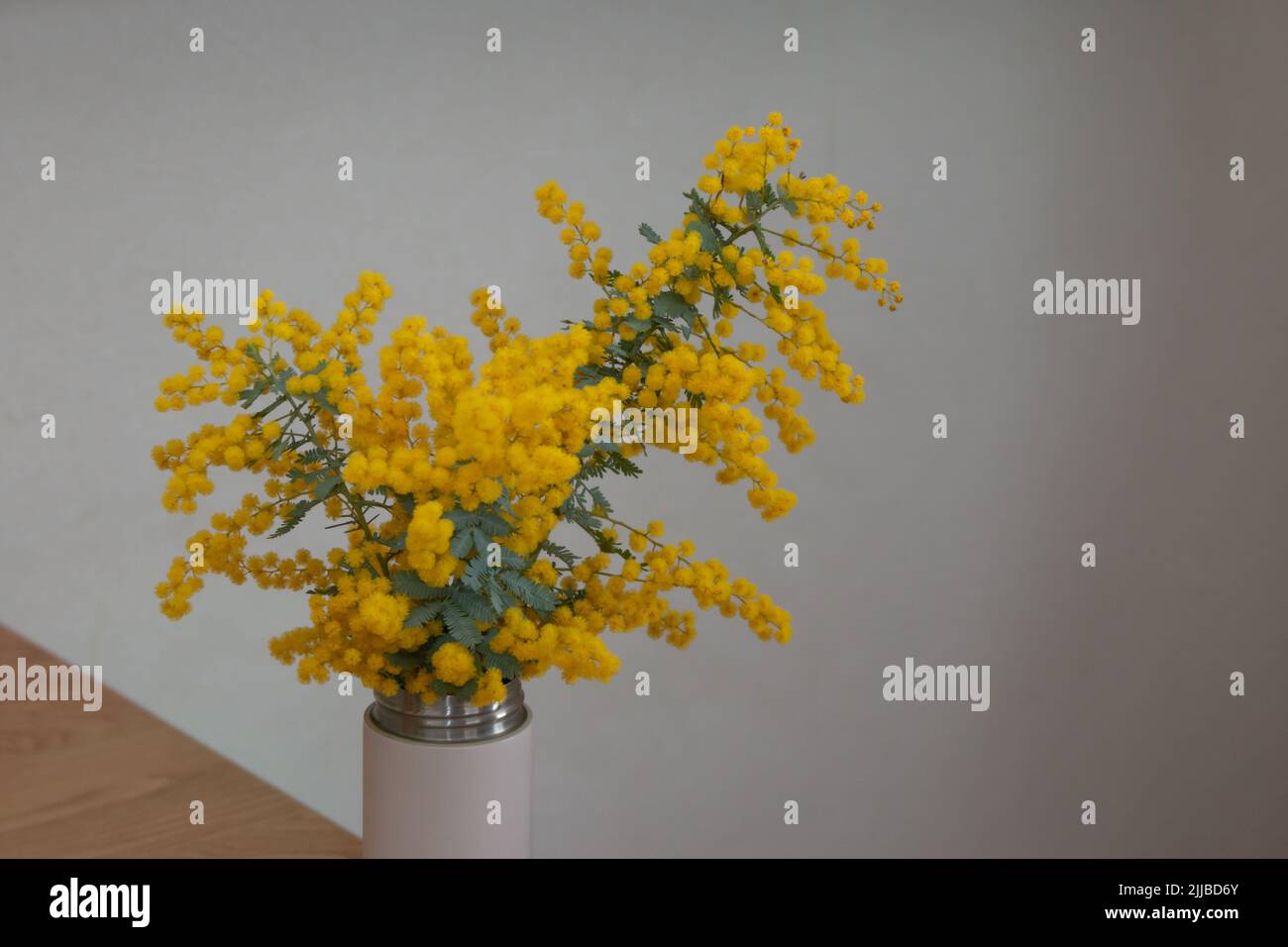 Acacia house hi-res stock photography and images - Alamy