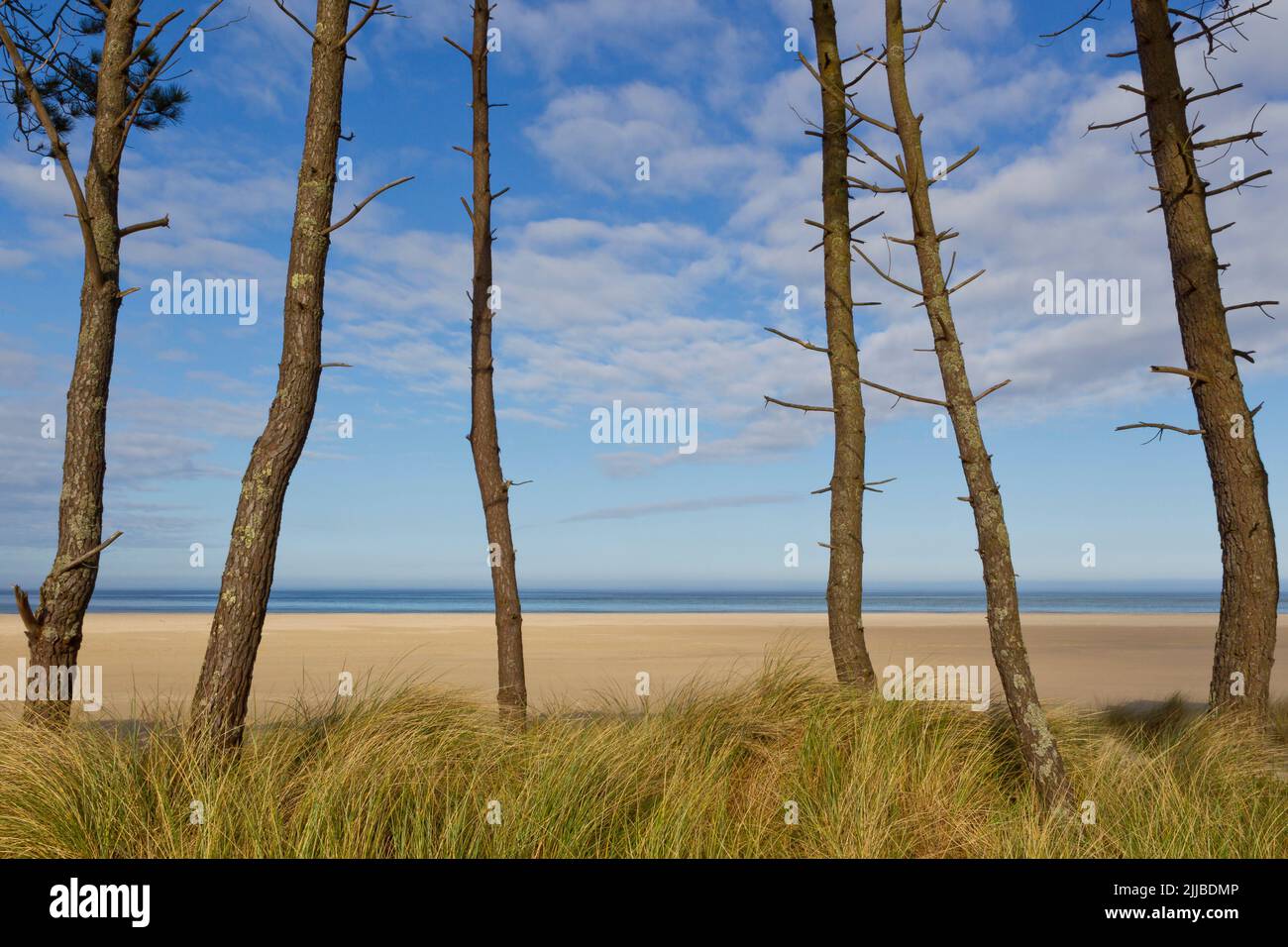 Raven point wexford hi-res stock photography and images - Alamy