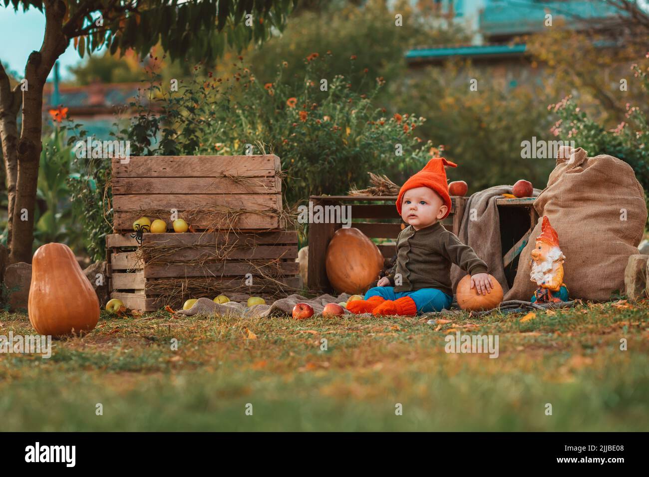 Halloween. Cute toddler boy in costume of dwarf sitting in kitchen ...