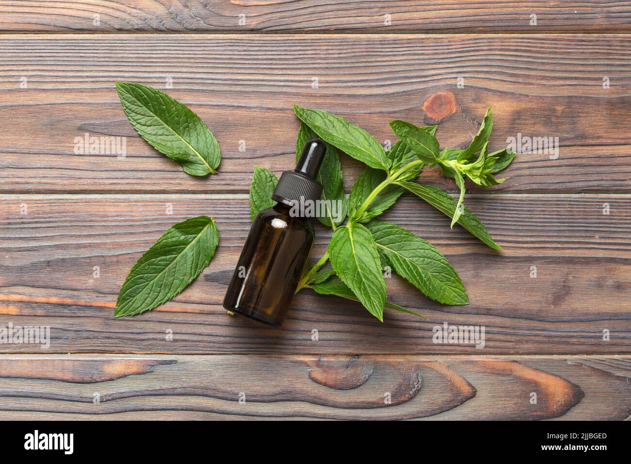 Natural Mint Essential Oil in a Glass Bottle. organic cosmetics with ...